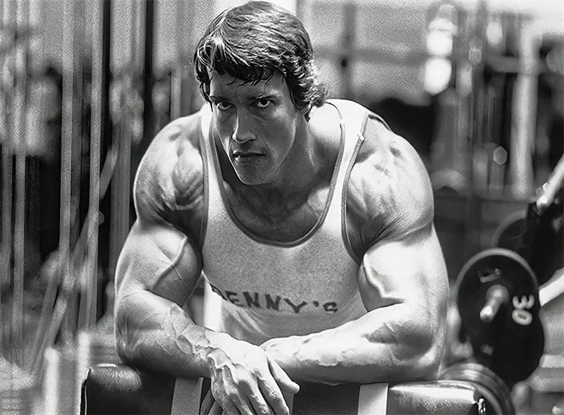 Arnold Schwarzenegger Enjoyment Poster