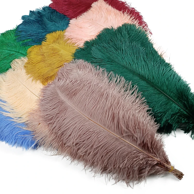 10Pcs/Lot New Colored Ostrich Feathers for Crafts White Black Feather ...