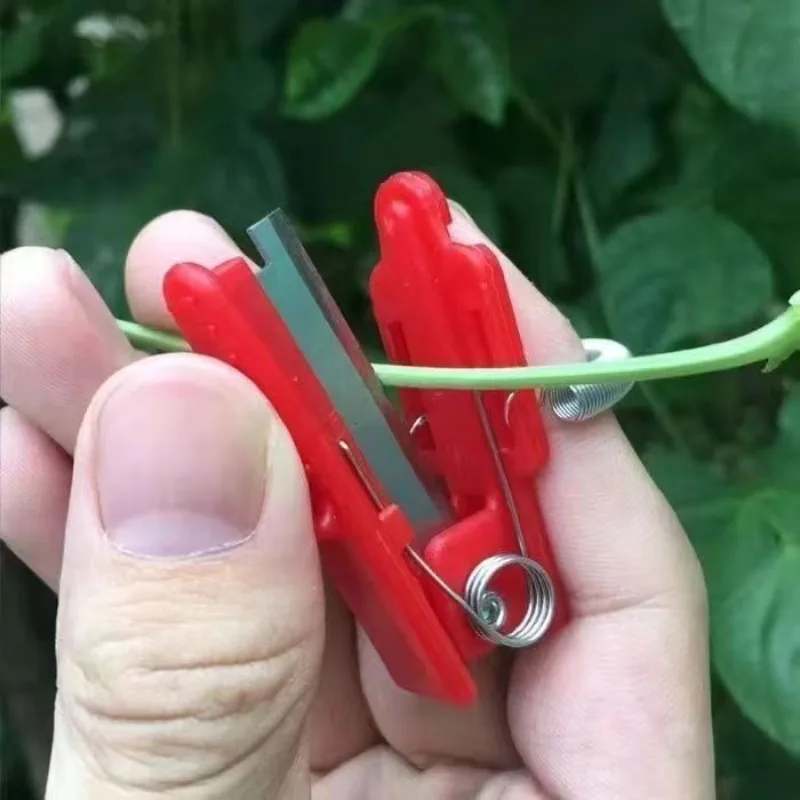 Garden-Picking-Guillotine-Vegetable-Fruit-Harvesting-Picking-Tool ...