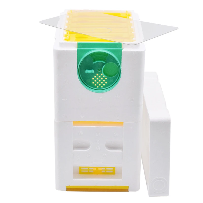 Beekeeping King Box Pollination Box | Sadoun.com