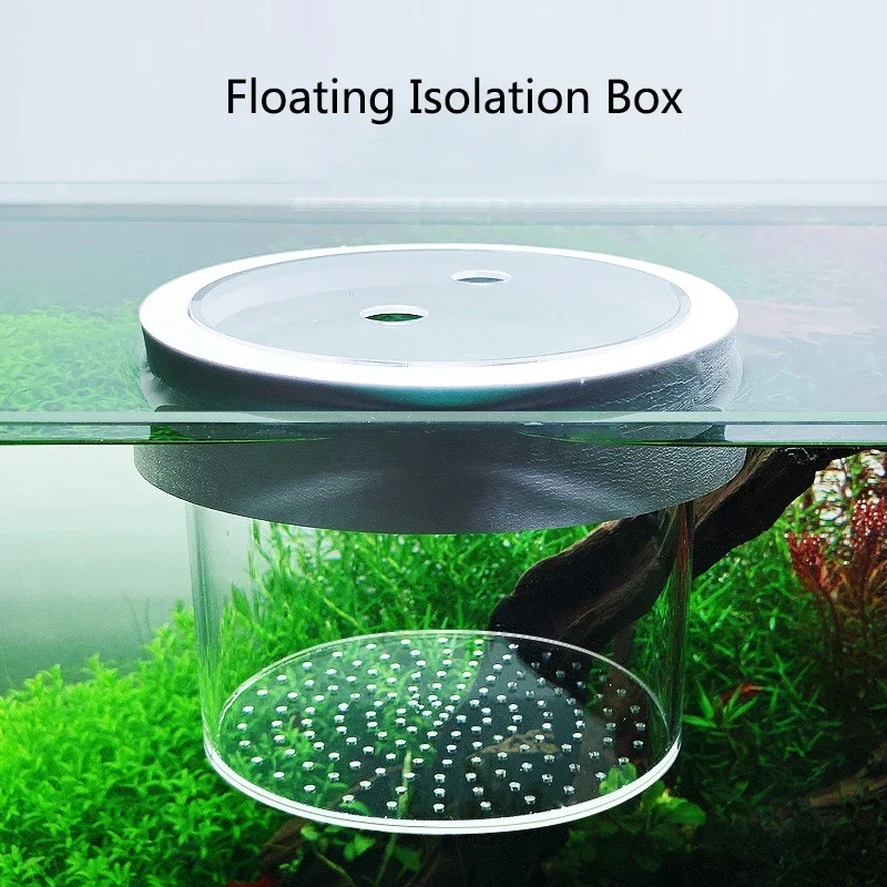 Acrylic Floating Fish Breeding Isolation Box Aquarium Breeder Feeder ...