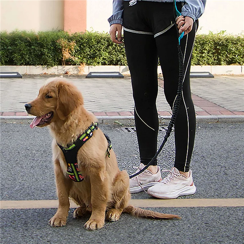 Dog-Leash-with-Waist-Bag-Reflective-Jogging-Dogs-Traction-Rope ...