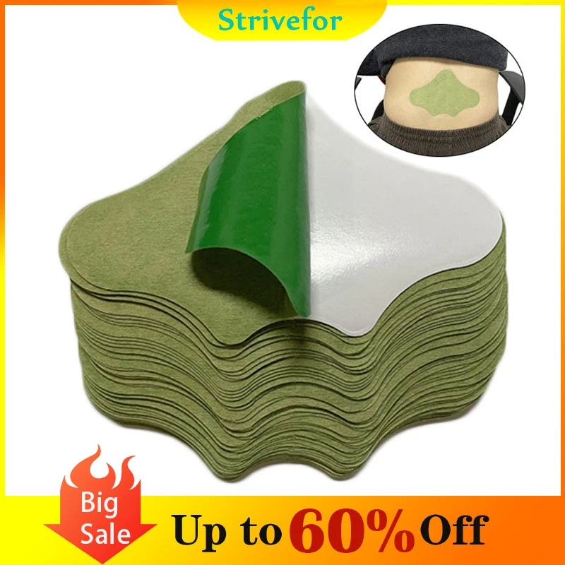 8-40pcs Back Pain Plaster Wormwood Lumbar Spine Patch Joint Pain Relief ...