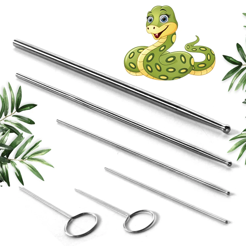 Snake Probe Kit 6Pcs Round Ball Tip Professional Reptiles Snake Sexing ...