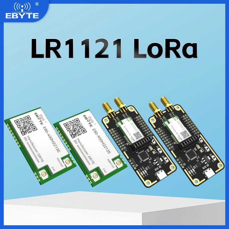 LR1121 LoRa Wireless Module EBYTE E80-400M/900M2213S Dual-Band Sub-G ...