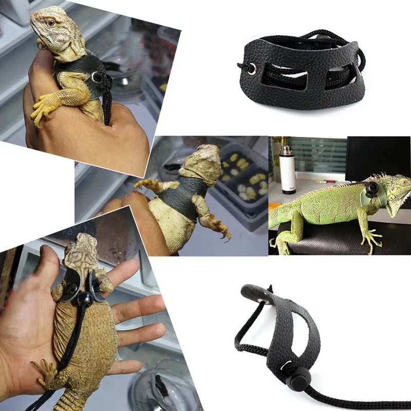 Lizard-Traction-Rope-Crawling-Pet-Going-Out-Traction-Walking-Lizard ...