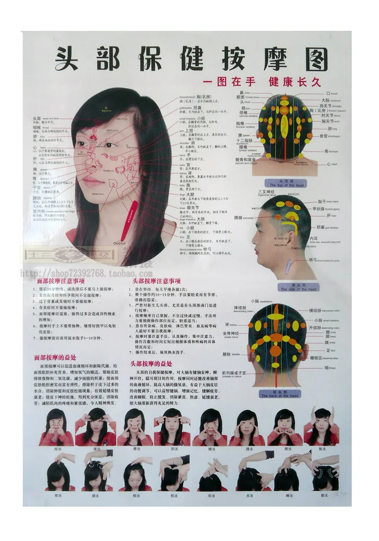 7Pcs English Hand Foot Ear body reflective zones meridian points human ...