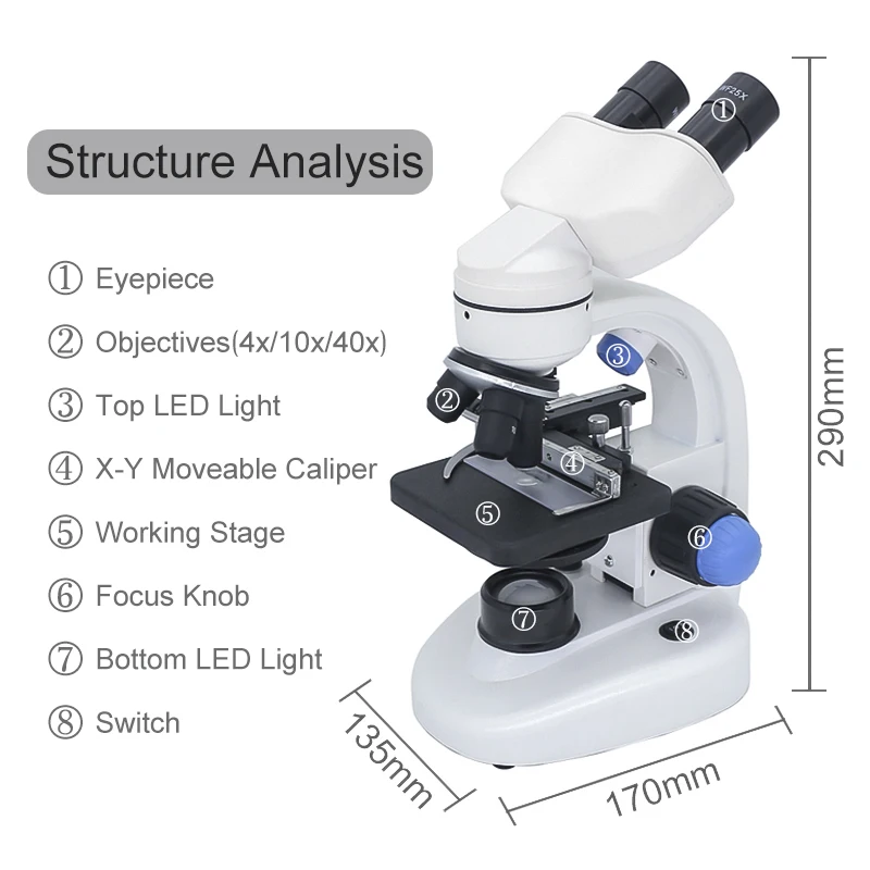 Digital Binocular Microscope
