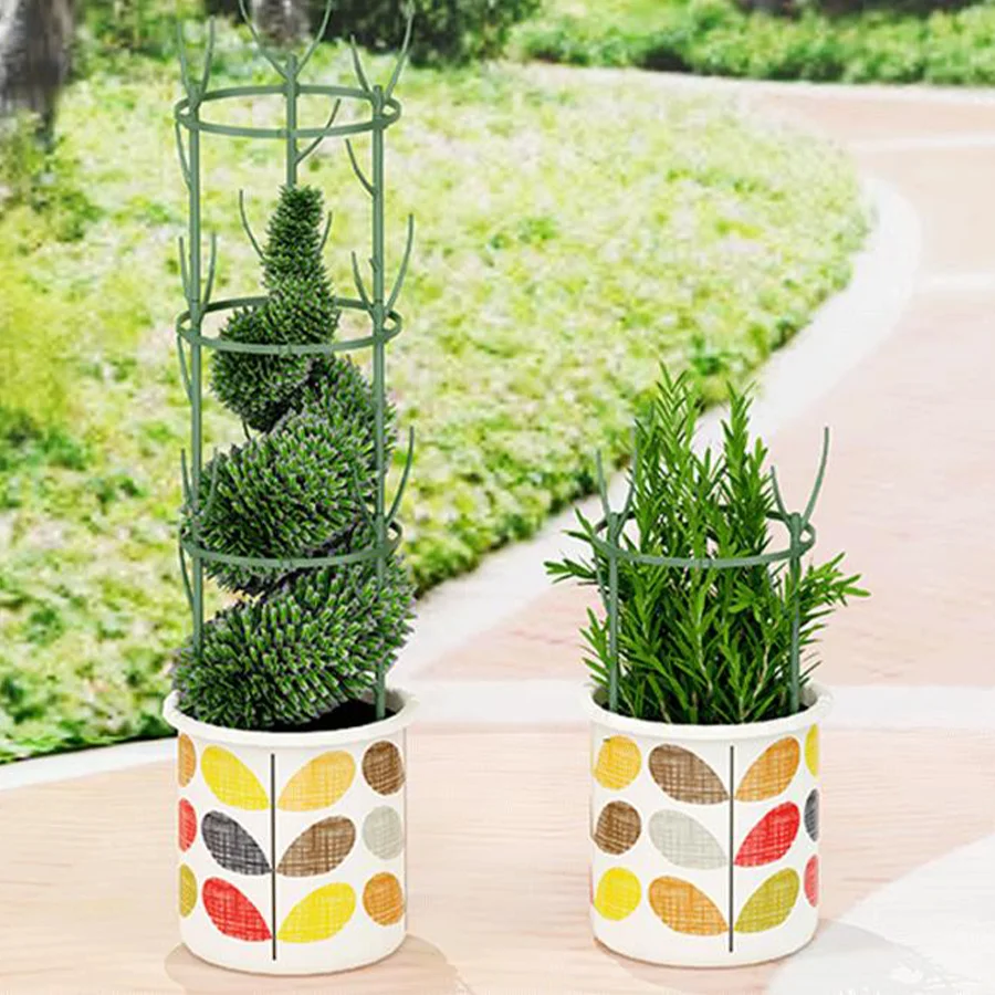 Shop1102787830 Store