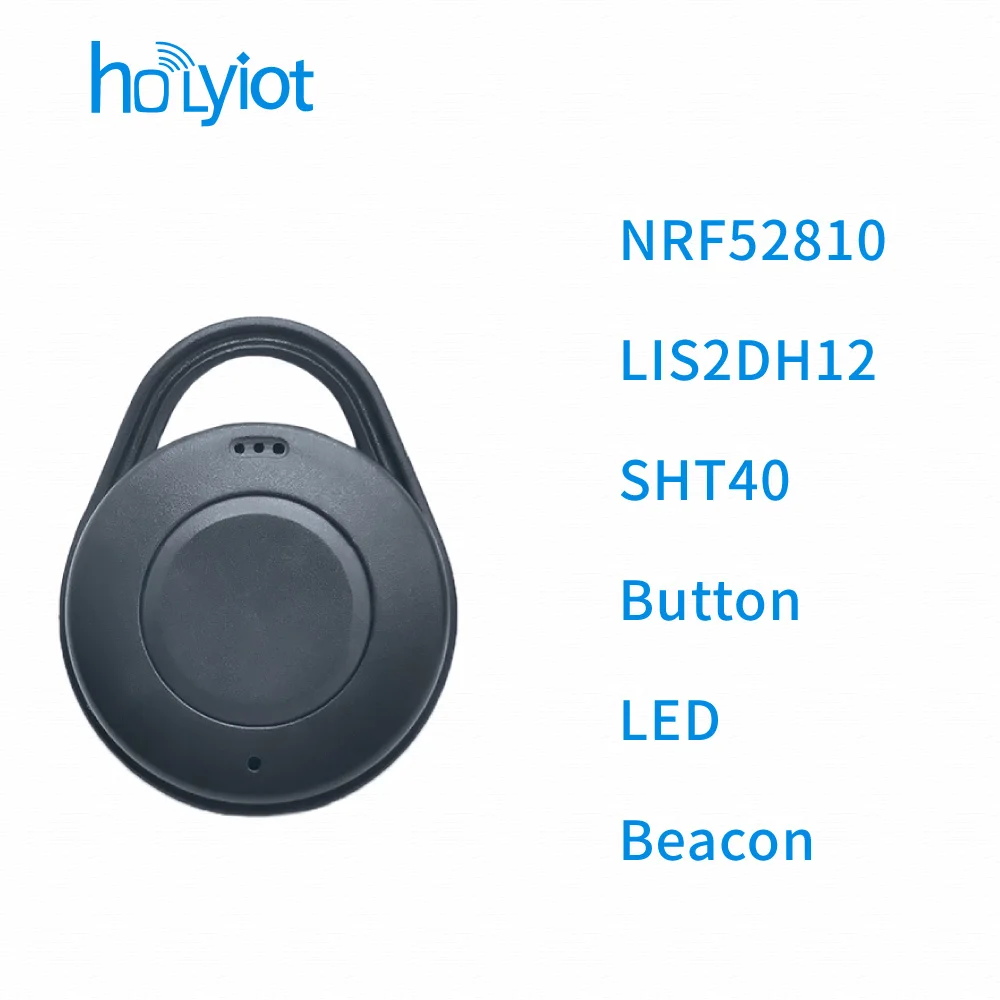 Holyiot nRF52810 Eddystone ibeacon tag Accelerometer SHT40 Temperature ...