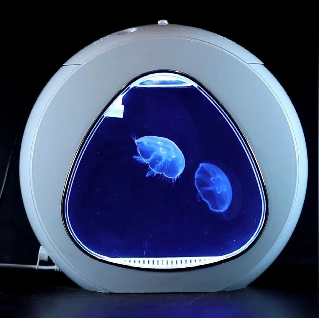 Desktop Jellyfish Tank
