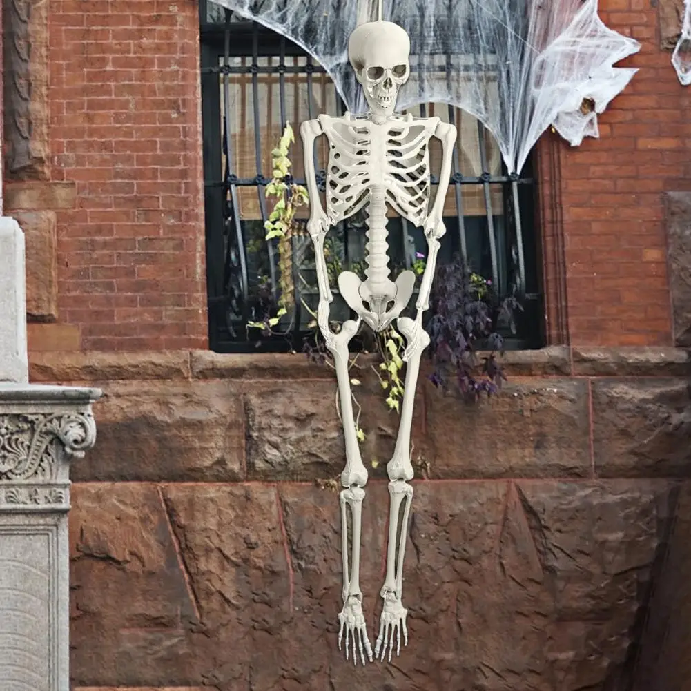 5.4FT Poseable Skeleton Prop Life Size Plastic Halloween Human Bones ...