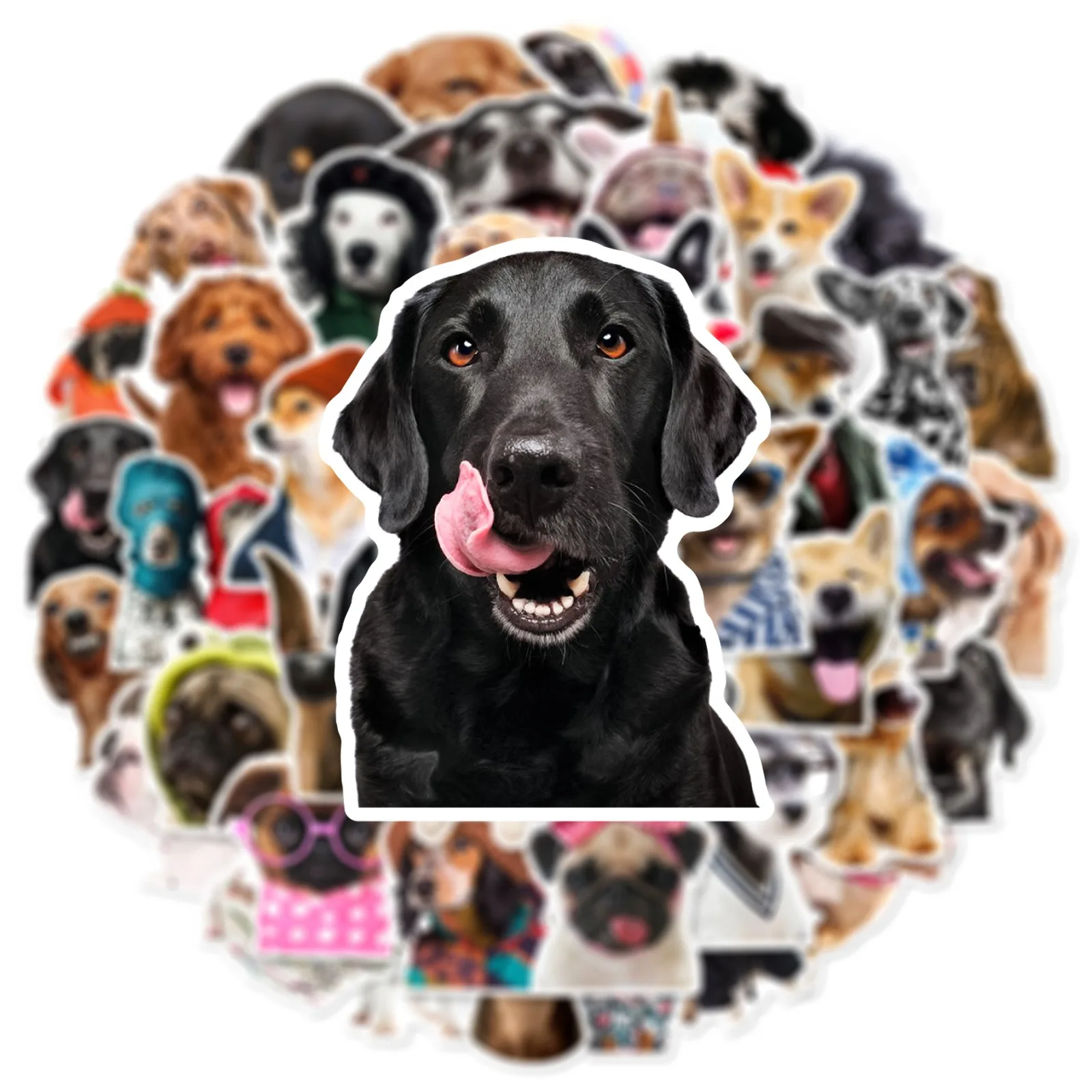 Funny Stickers 50 PCS Funny Cat Dog Meme Stickers Cute Animal Meme ...