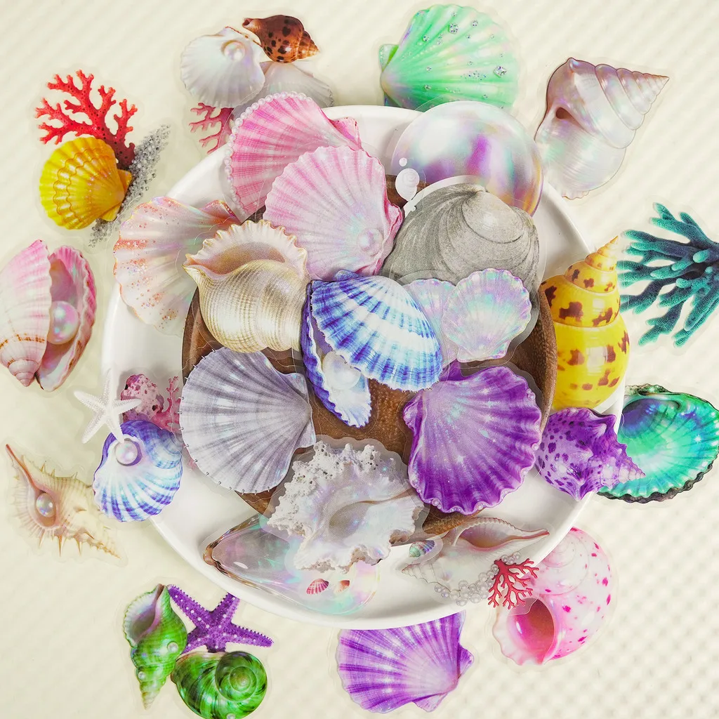 56Pcs Transparent PET Seashell Stickers - New Exquisite Waterproof ...