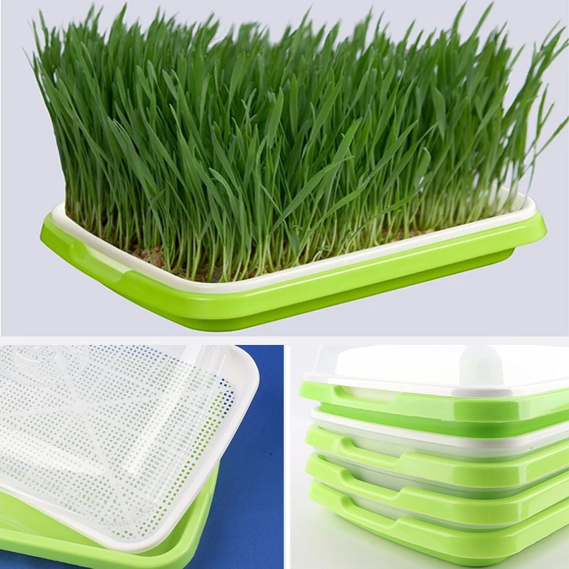 2Pcs/Lot Seed Nursery Pots Hydroponics Bean Sprouts Grow Dishes Plate ...