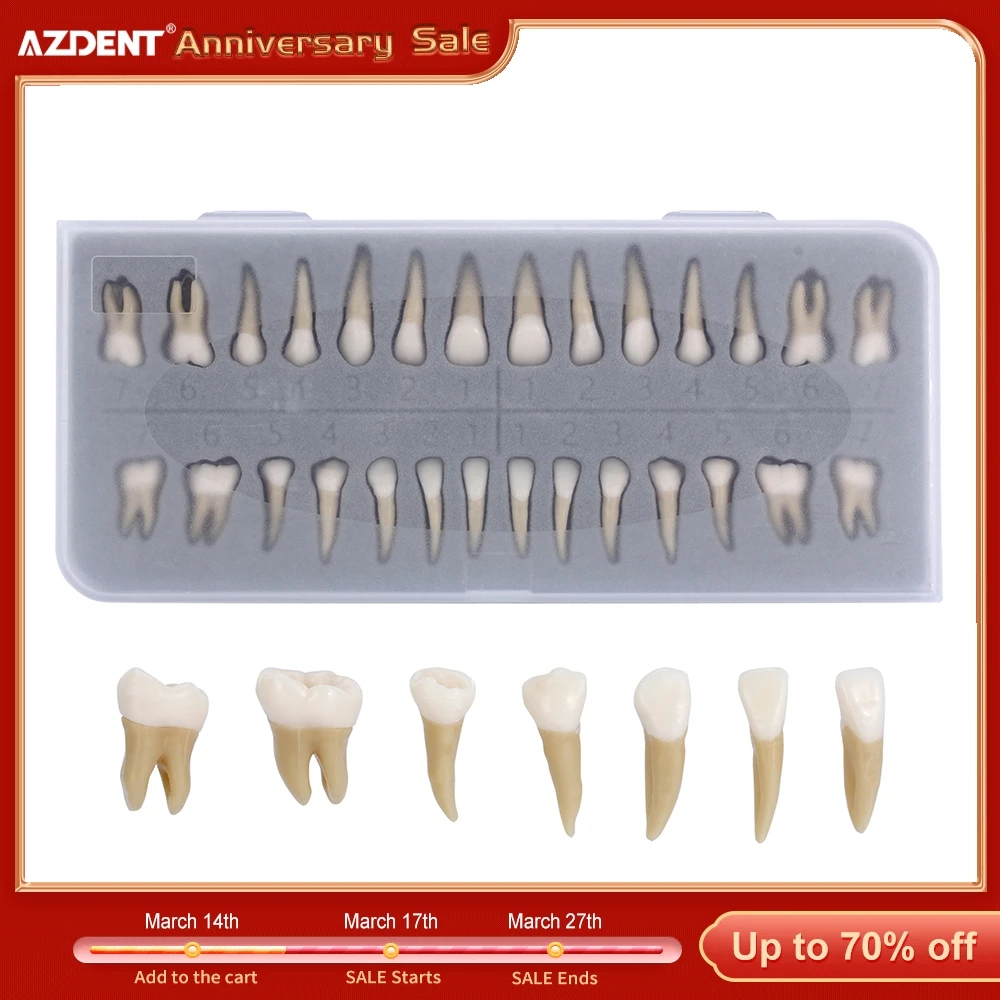 Store Home Products Anniversary Sale Feedback