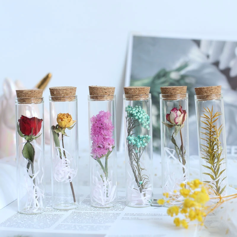 Glass Test Tube Dried Flowers | Dried Flower Glass Bottle | Gifts Dried ...