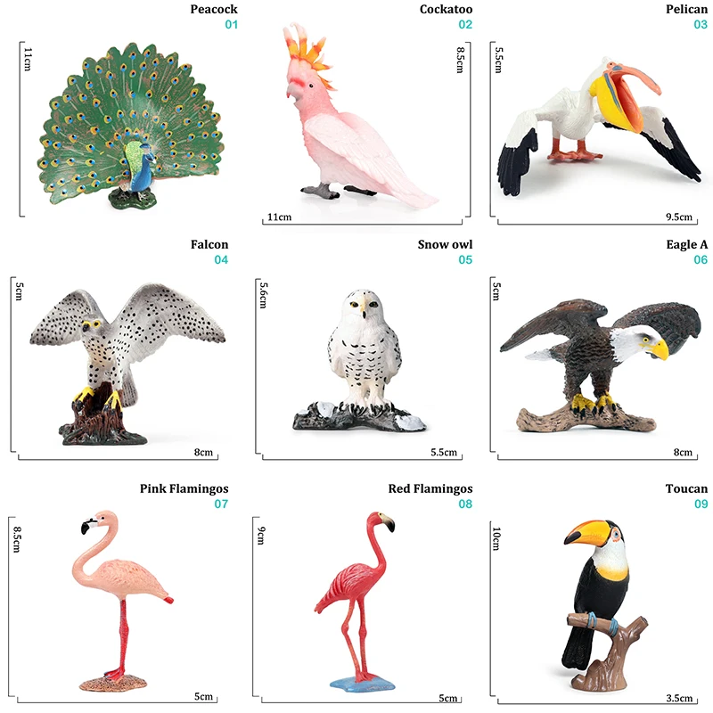 Bird-Models-Bird-Animal-Flamingos-Parrot-Sea-Mew-Peacock-Owl-Ostrich ...