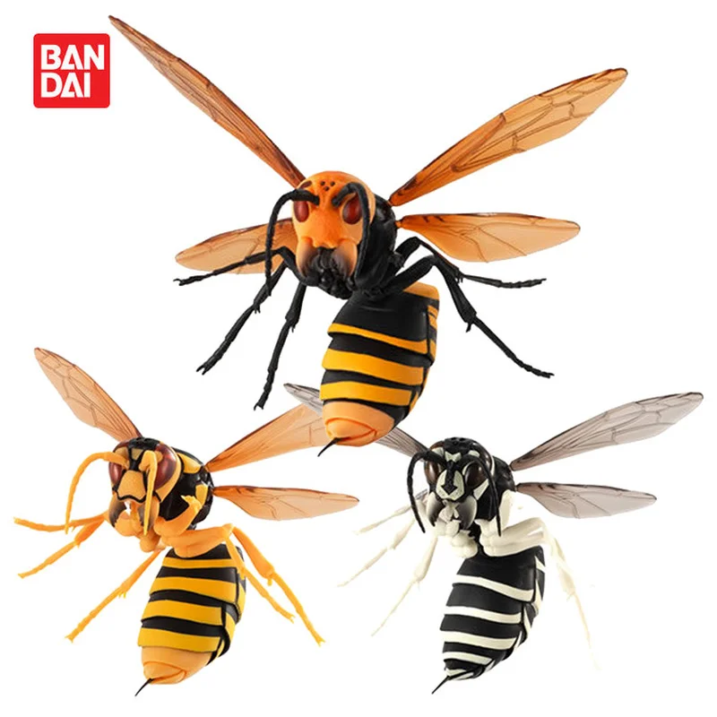 Bandai Genuine Gashapon Toys Simulated Biological Model Insect Hornet ...