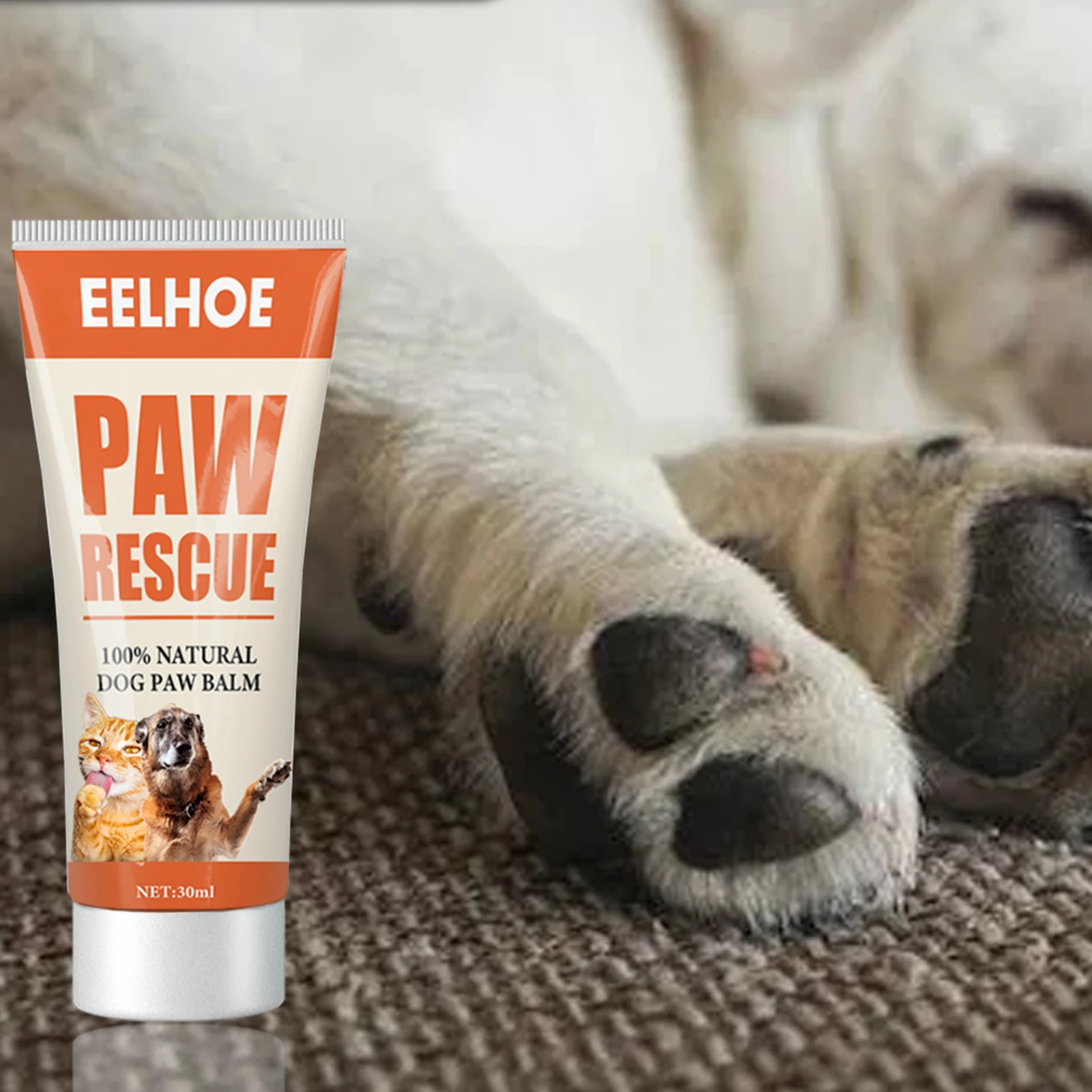 What Does Frostbite Look Like On A Dogs Paw