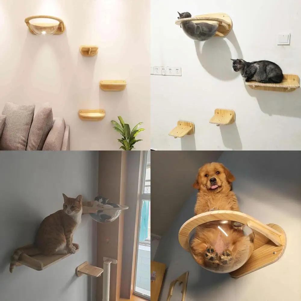 Wooden Cat Wall Shelves, Large Cat Bubble Bed, and 5-Piece Transparent ...