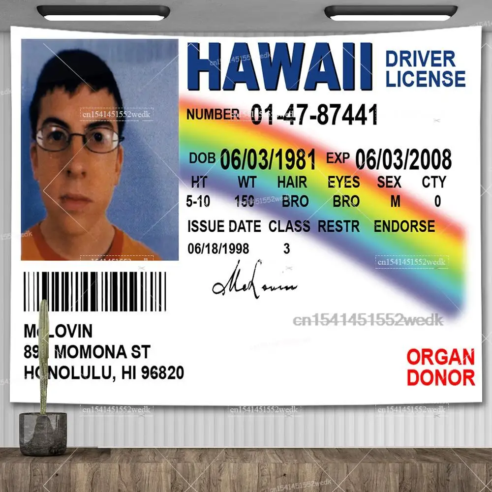 McLovin-ID-Flag-Banner-Tapestry-Funny-Hawaii-Driver-License-Meme ...