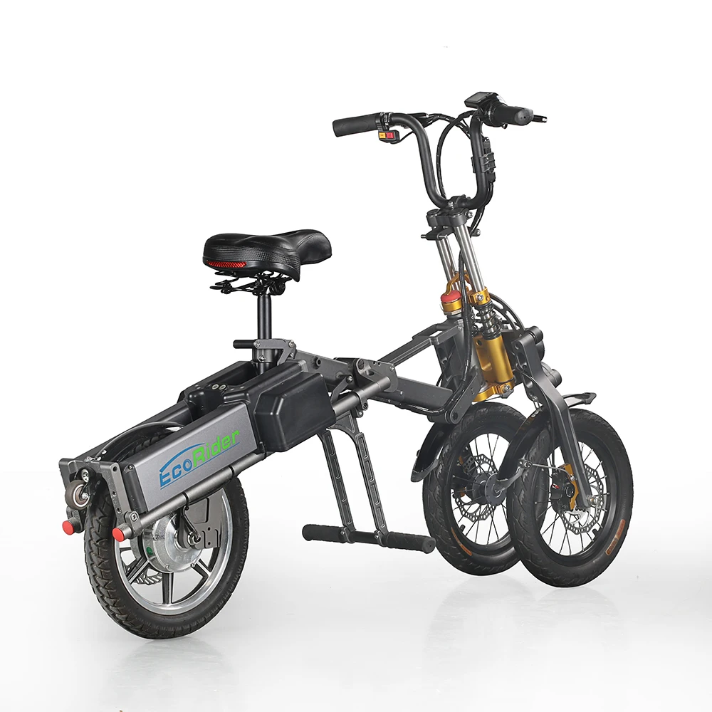 City-Road-Electric-Bicycle-250W-Electric-Motorcycle-14-Inch-250W-48V-3 ...