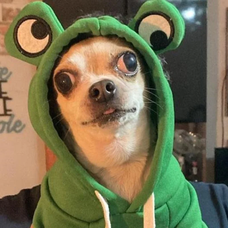 S1a2d001d89d240d495b1e692317ab1cai.jpeg
