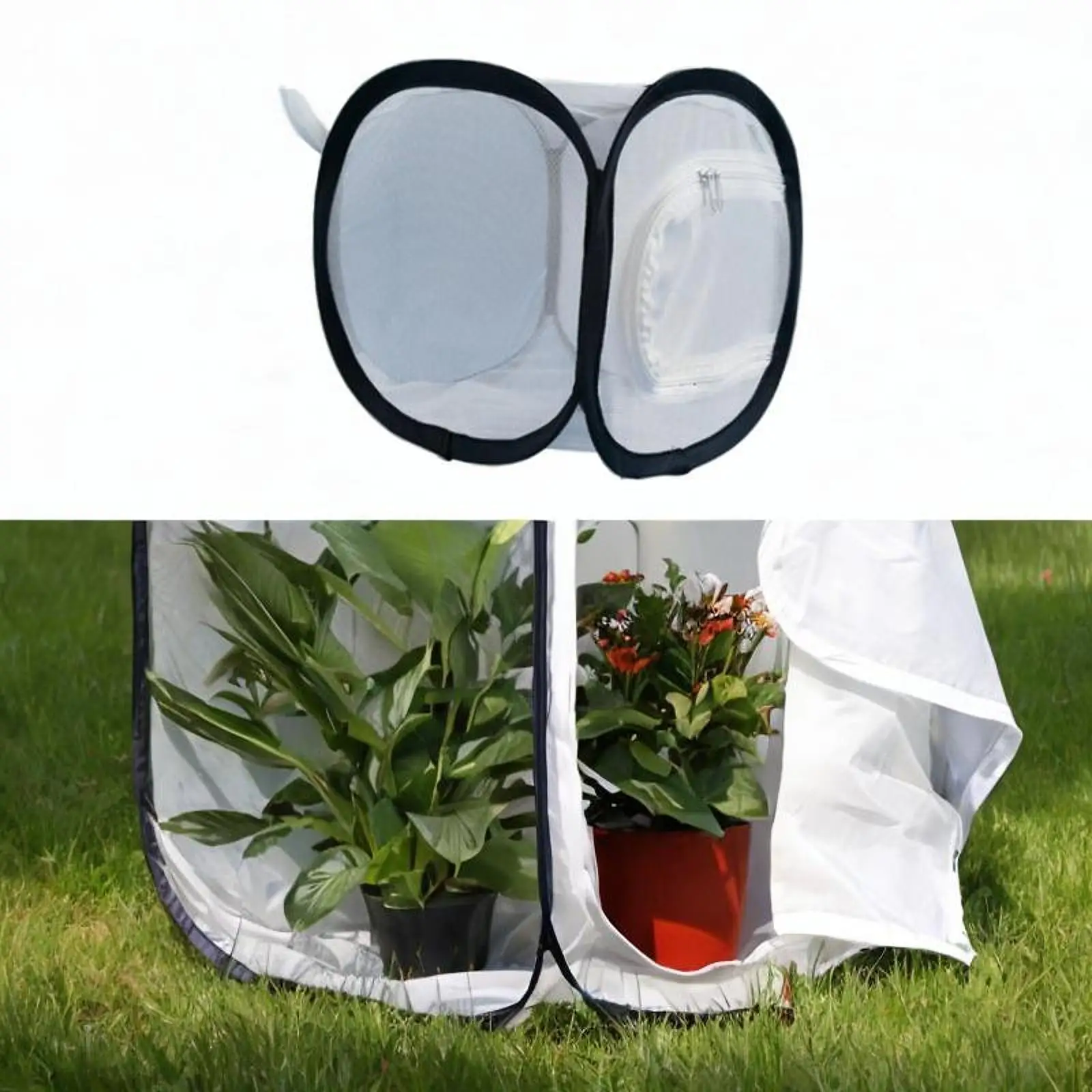 Insect Butterfly Cage See Easier Portable Enclosure Net for Raising ...