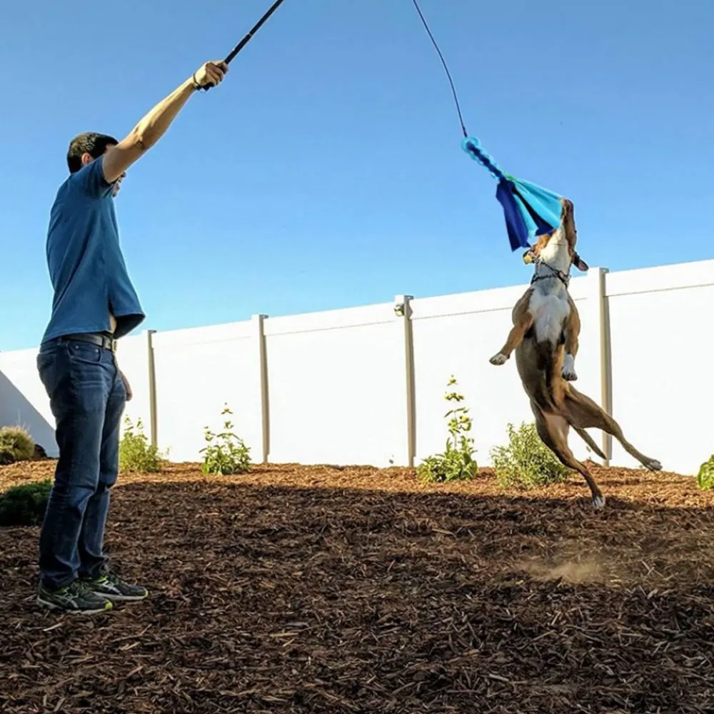 Dog-Toy-Flirt-Pole-Extendable-Interactive-Funny-Chasing-Tail-Teaser-and ...