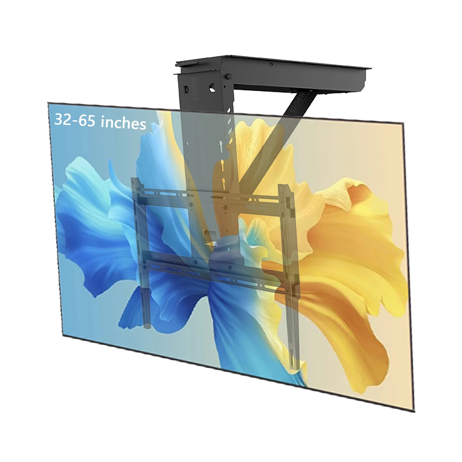 Ctm-3-TV-Hanger-Ceiling-Ceiling-Remote-Control-Intelligent-Hidden ...