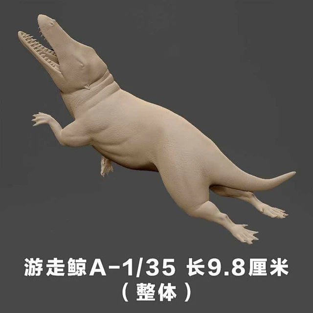 Ambulocetus Natans