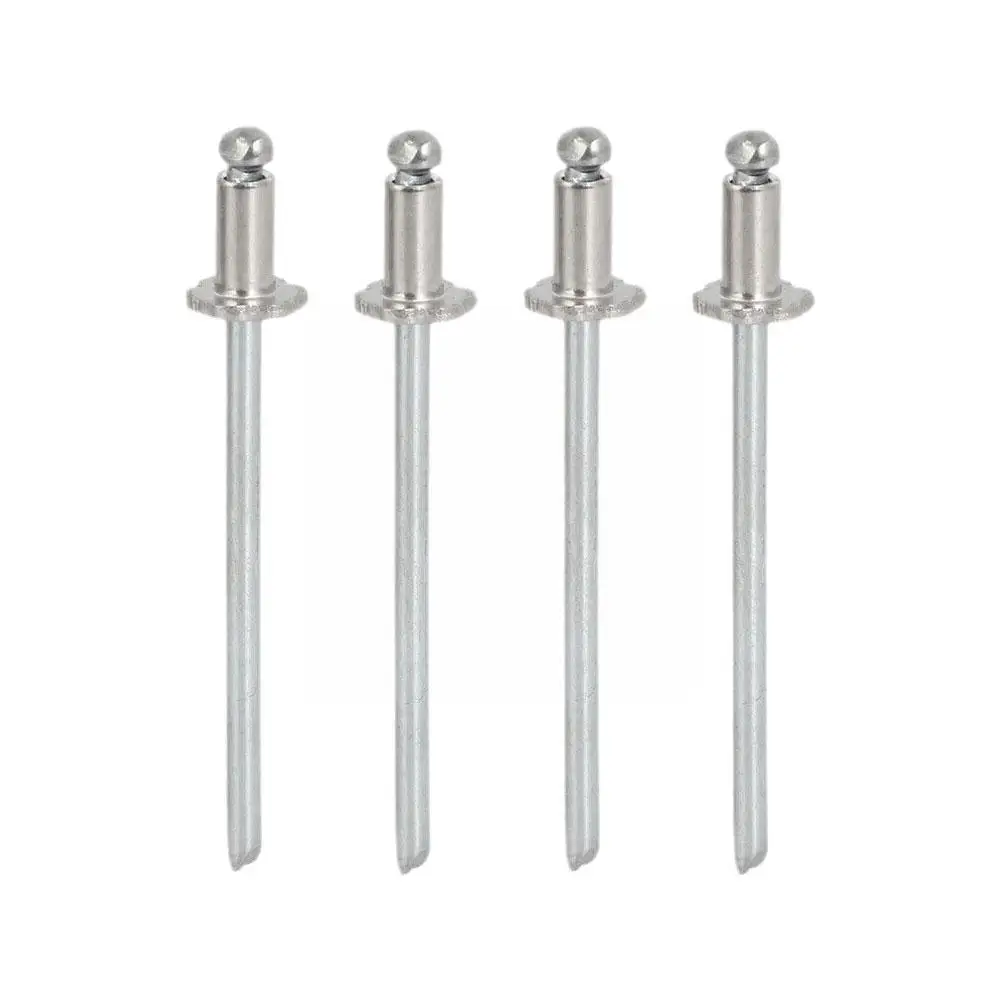 2/4 Pair Rivets Fastener Blind Rivets Head Break Mandrel Blind Nail ...