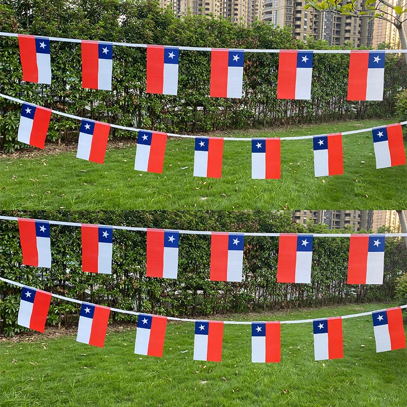 Banderines-de-Chile-para-fiestas-banderines-de-14x21cm-20-unidades-por ...