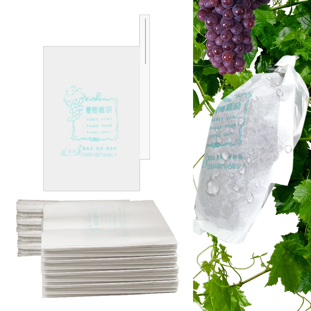 50-100PCS-Paper-White-Grape-Bags-for-Garden-Orchard-Mothproof ...