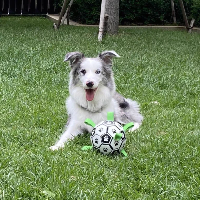 Interactive Dog Football | That's So Fetch