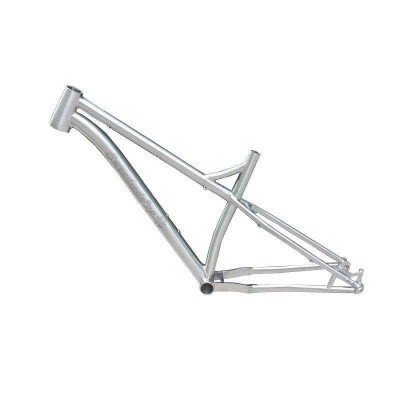 Titanium-vet-fietsframe-met-een-taps-toelopende-balhoofdbuis-op-maat ...