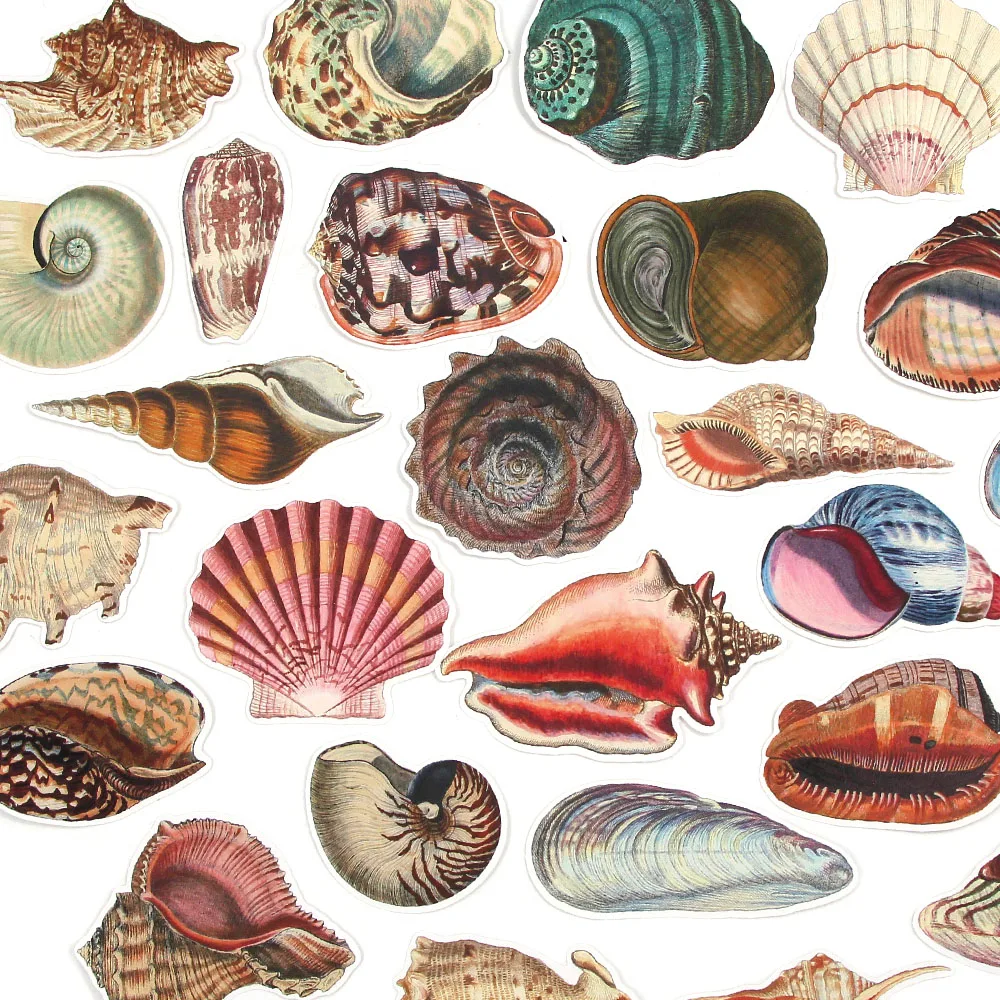 Vintage-Conch-Shell-Sticker-Label-Scrapbooking-Marine-Life-Stationery ...