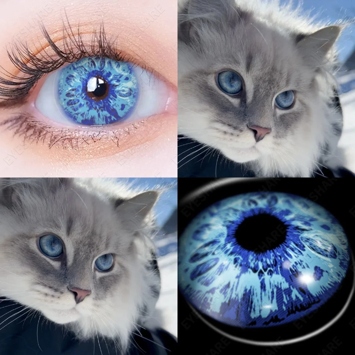 Blue Cat Eye Contacts