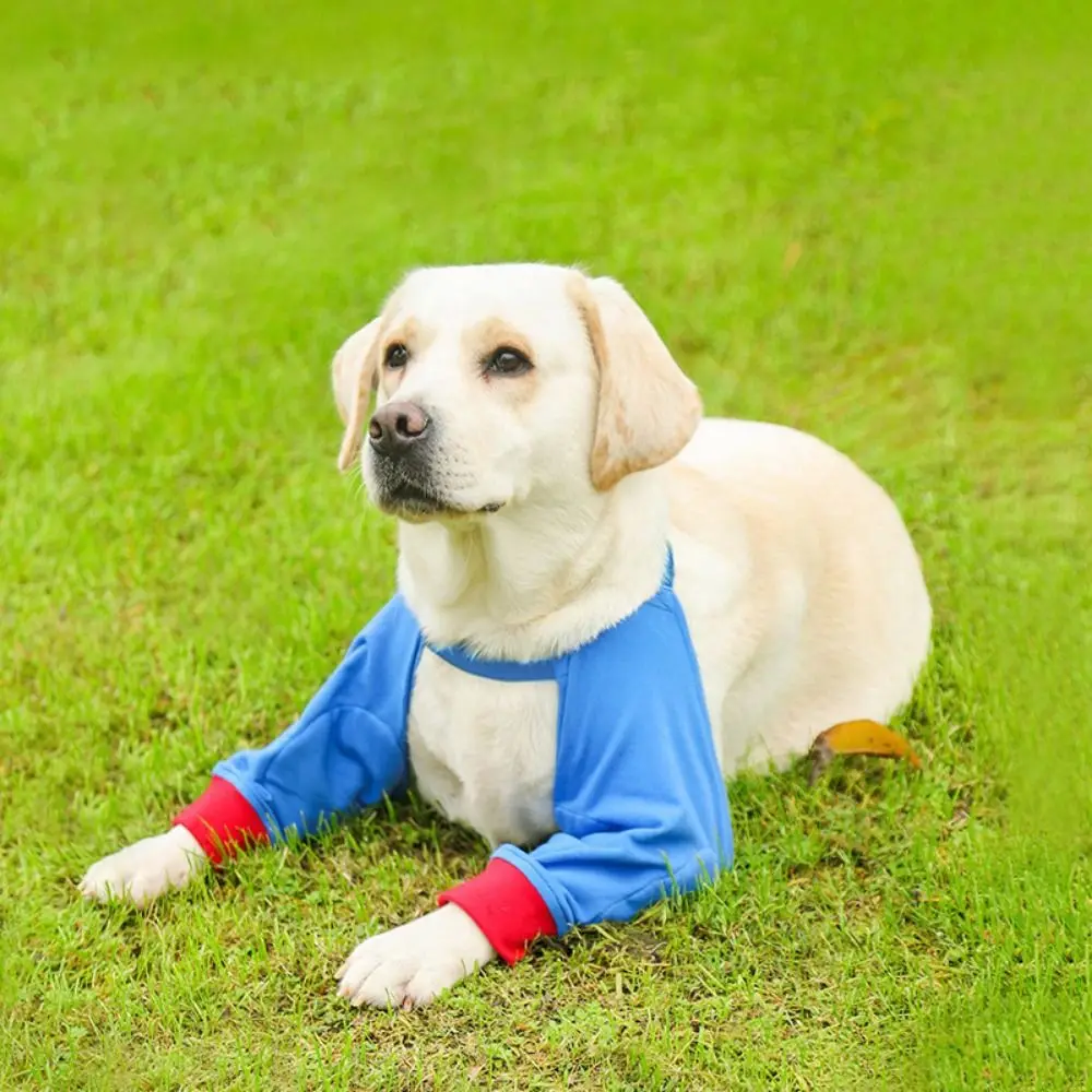 Manga-de-recuperaci-n-transpirable-para-perro-Codera-de-algod-n-ajustable-pr-ctica-antilaminaci ...