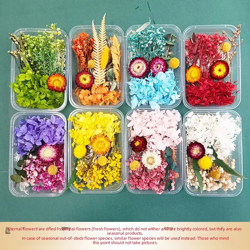 Store Home Products Outdoor Fun Feedback