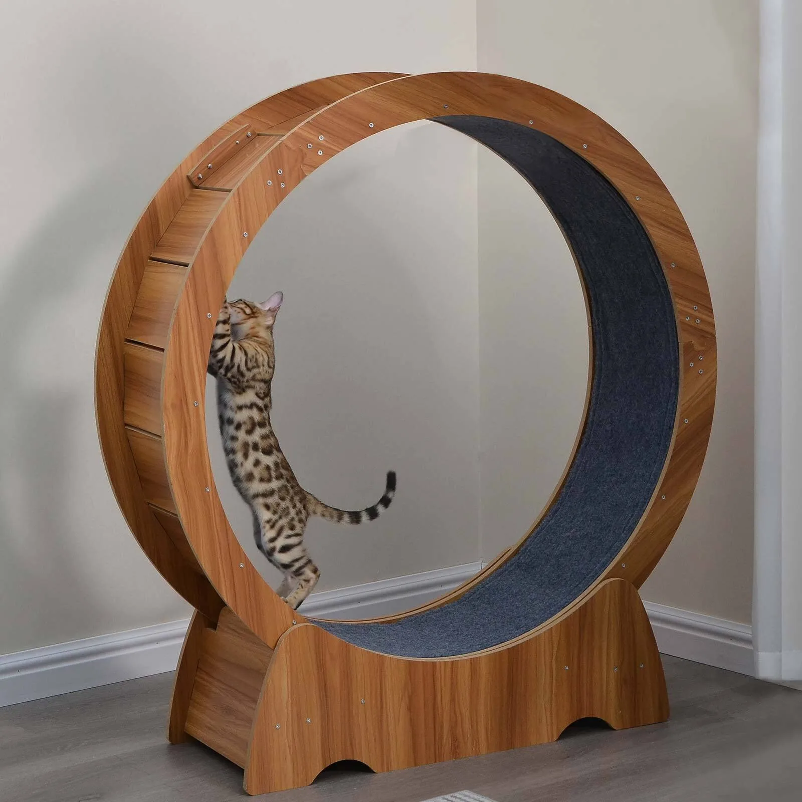 Cat Exercise Wheel Large Wooden/PVC Cat Treadmill Running Wheel Cat Toy ...