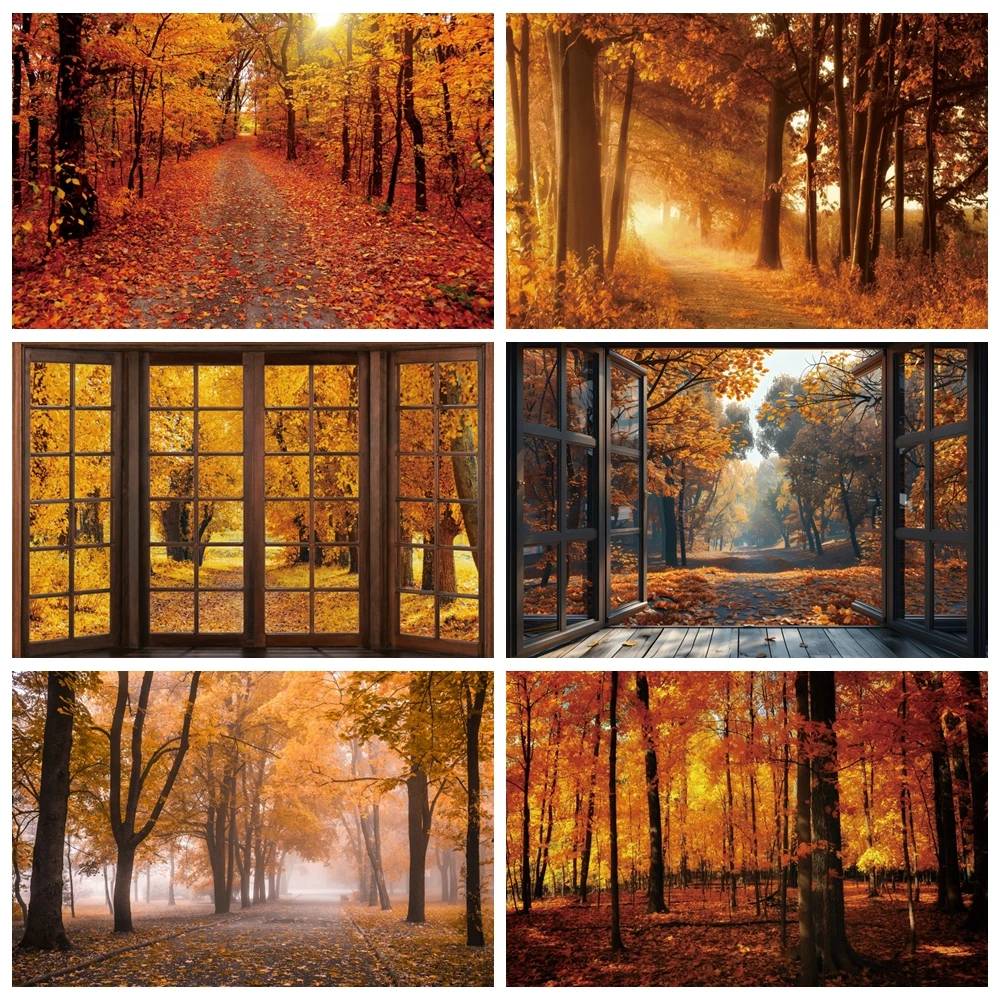 Autumn-Forest-Backdrop-Fall-Maple-Leaves-Window-Natural-Scenery-Baby ...