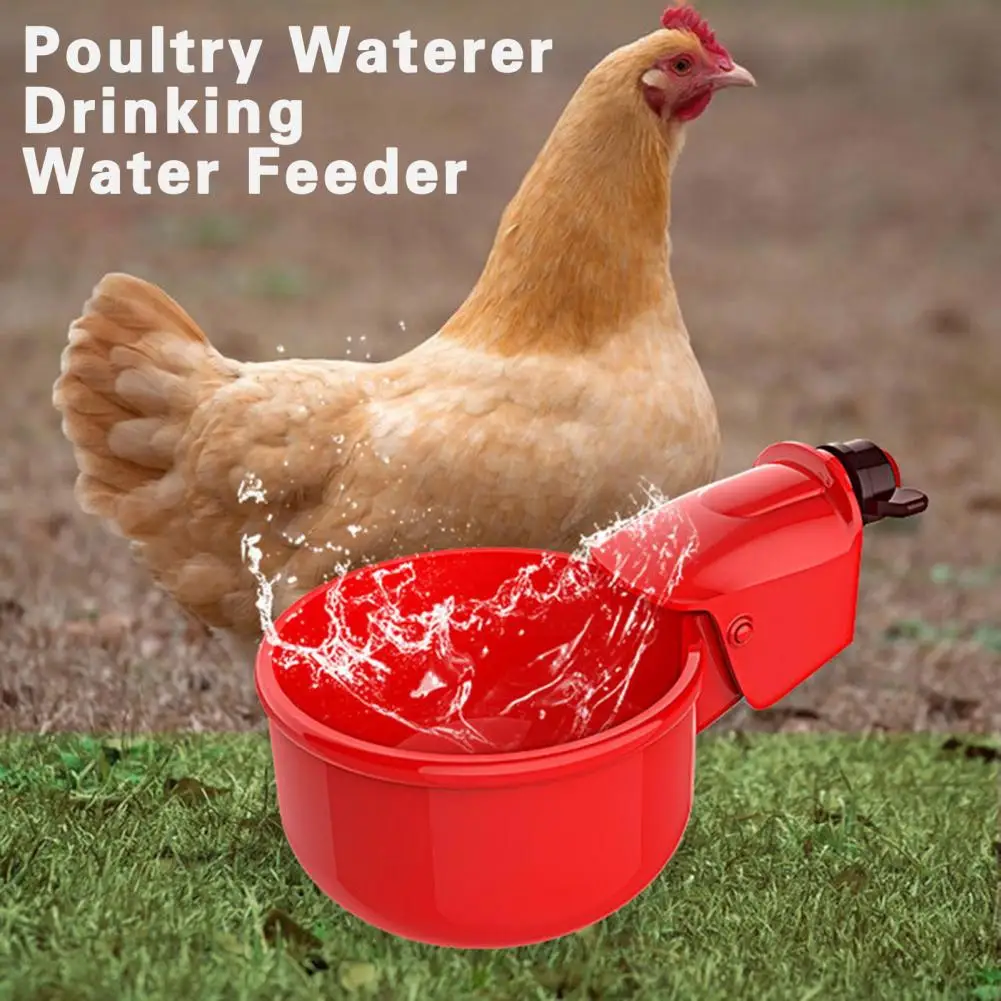 Chicken-Drinker-Automatic-Water-Dispensing-Spring-Loaded-Control ...