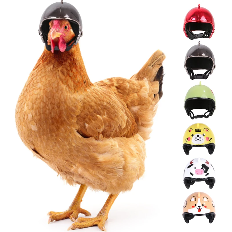 1PC-Pet-Chicken-Helmet-Small-Pet-Poultry-Bird-Duck-Headgear-Hat-Caps ...