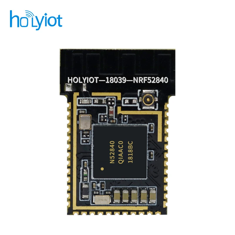 Holyiot nRF52840 module Bluetooth low energy long range 500 meters ...
