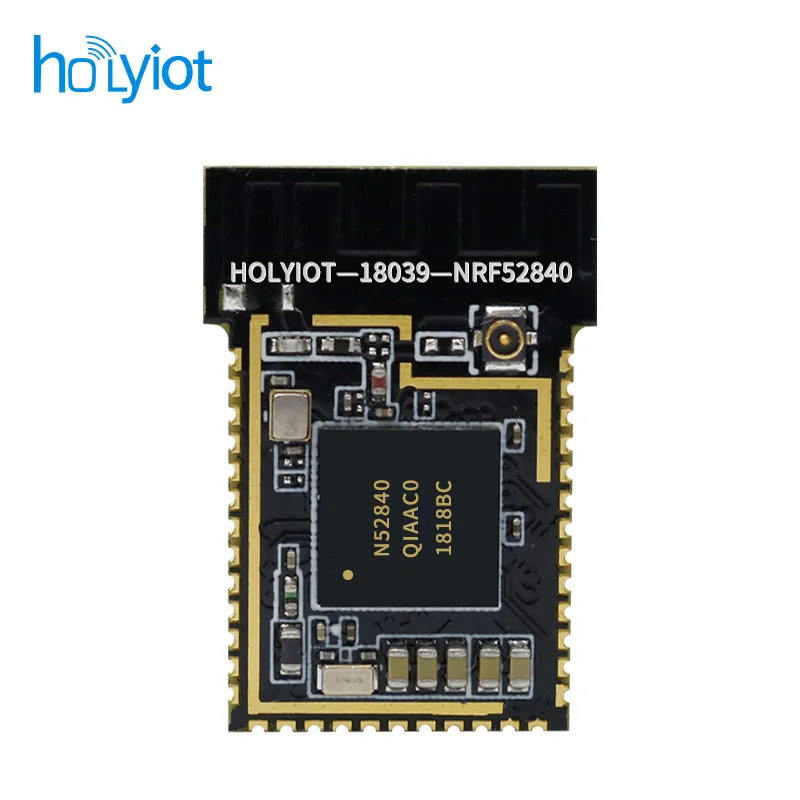 Nordic nRF52840 module Bluetooth low energy long range 500 meters bluetooth 5.0, PCB & IPX Antenna