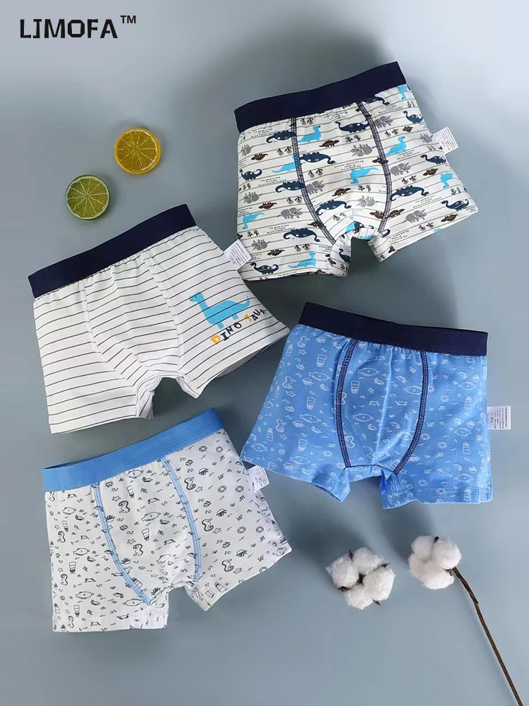 Little Boy Boxer Briefs