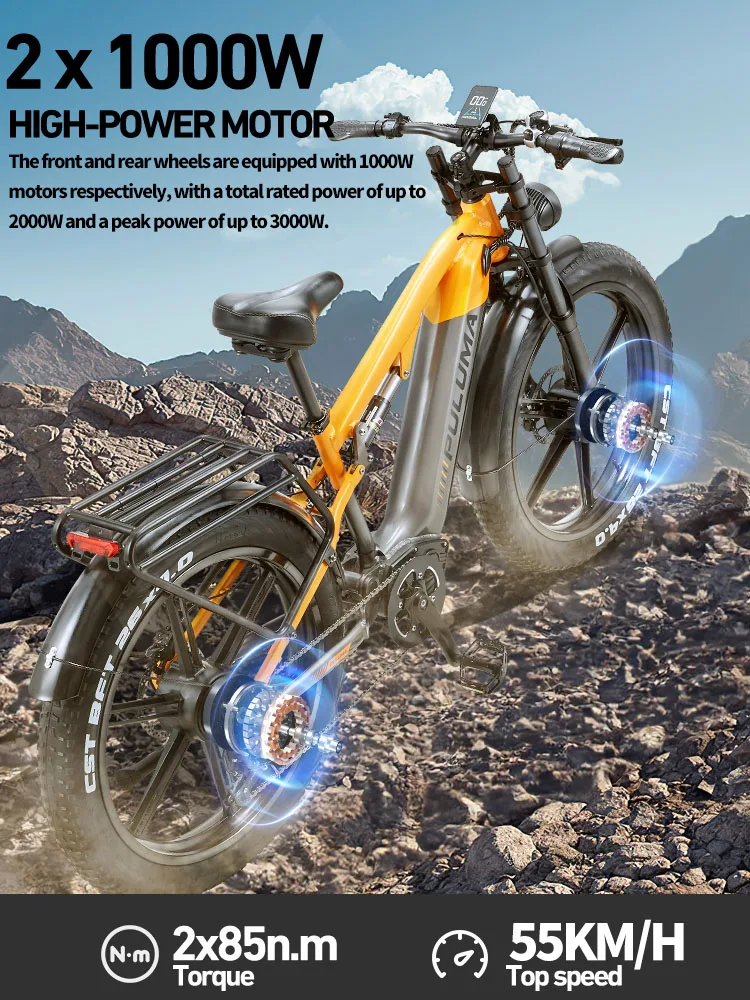 EBIKE Dual Motor Electric Bicycle 48V 20AH Battery Peak Power 3000W ...