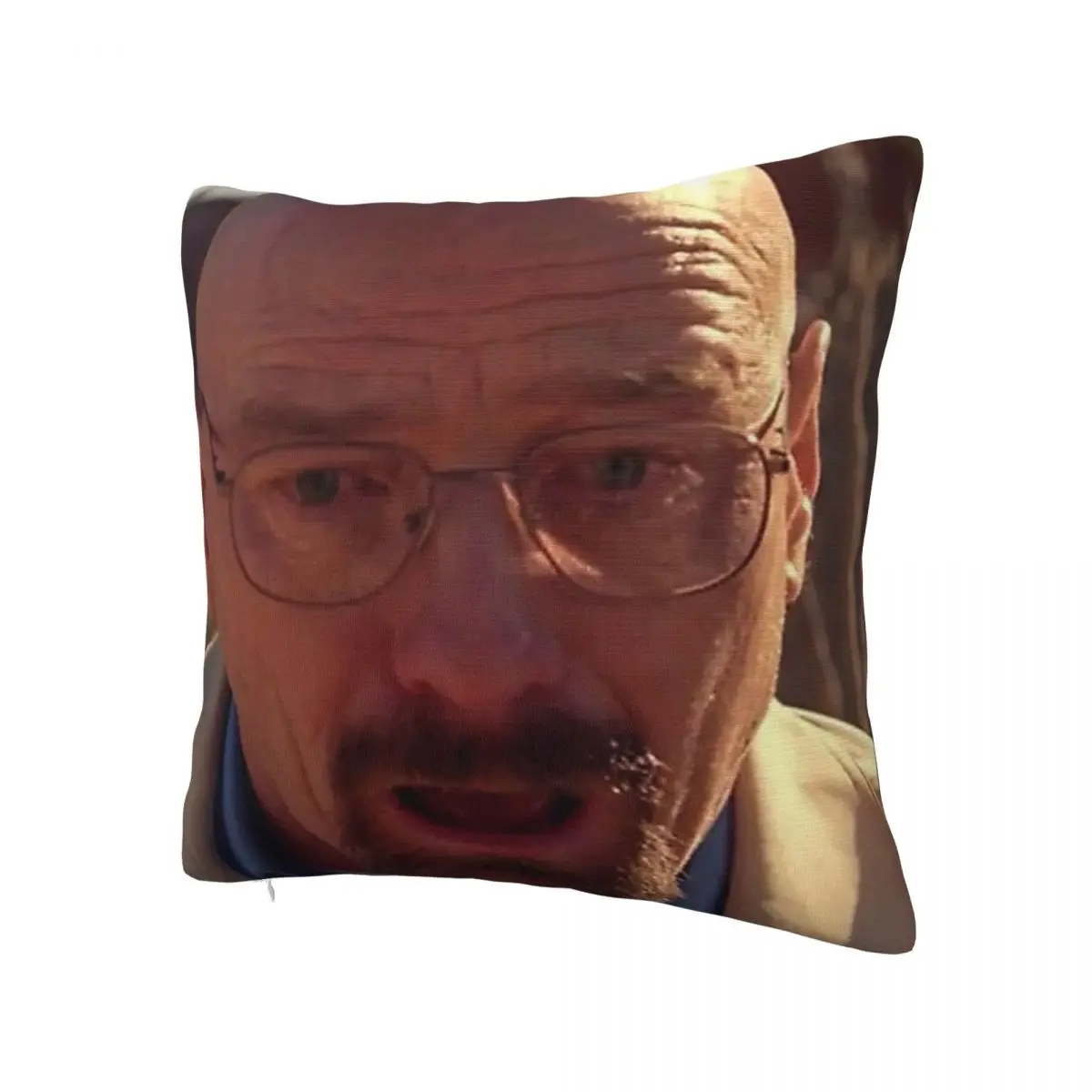 Walter White Meme